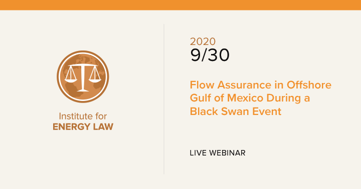 Flow Assurance in Offshore Gulf of Mexico During a Black Swan Event