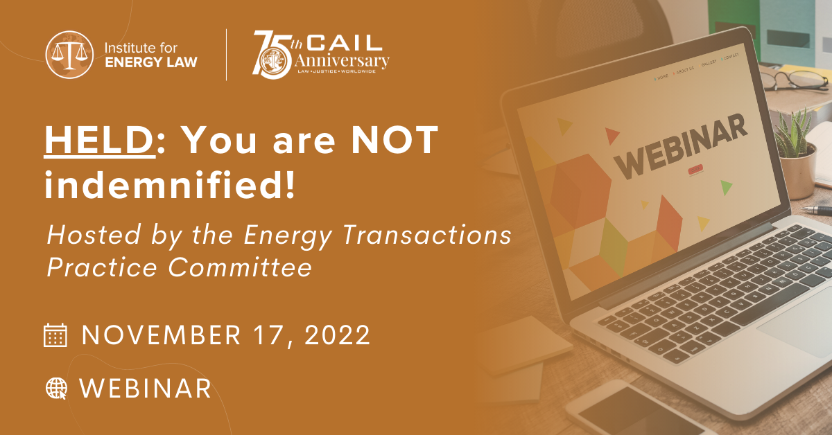 HELD: You are NOT indemnified!