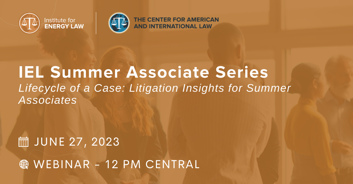 Lifecycle of a Case: Litigation Insights for Summer Associates