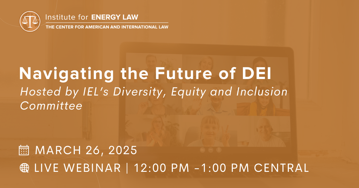 Navigating the Future of DEI